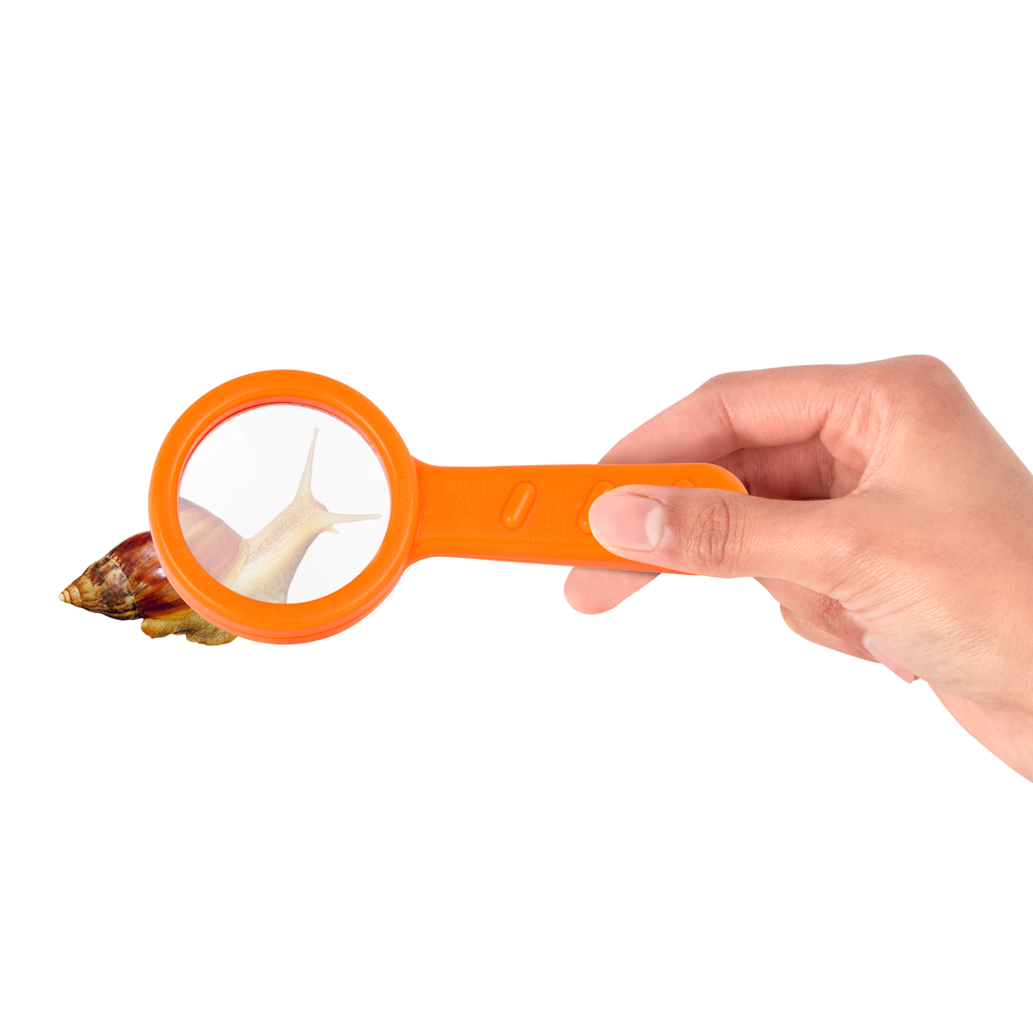 Inspect an Insect Set | Bug Catching Vacuum | B. toys